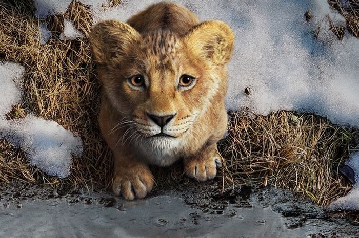 Disney Resmi Rilis Trailer Mufasa The Lion King - Semua Halaman ...