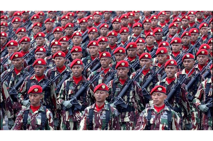 Termasuk Kopassus, Ini 6 Pasukan Elite di Tubuh TNI yang Bikin Negara Lain Ciut - Ntvnews.id
