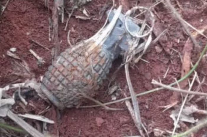 Warga Bogor Temukan Granat Nanas di Kebun Kosong - Ntvnews.id