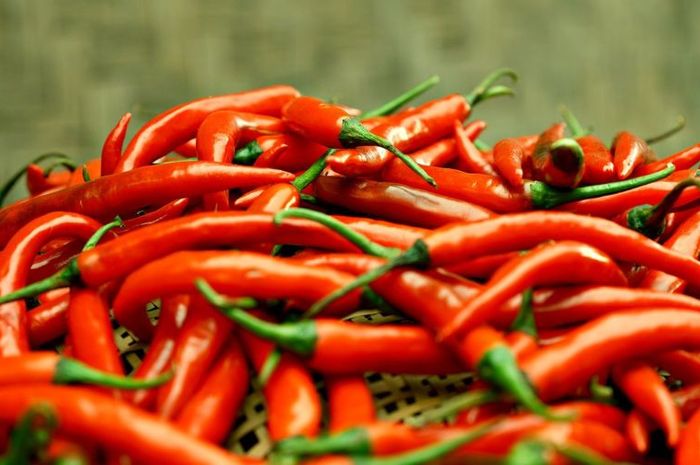 Harga Cabai Rawit Merah Makin Pedas, Tembus Rp70 Ribu/Kg - Semua Halaman - Ntvnews.id