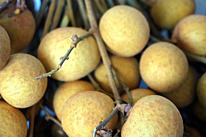 5 Manfaat Buah Lengkeng untuk Kesehatan Tubuh, Banyak yang Tidak Tahu ...