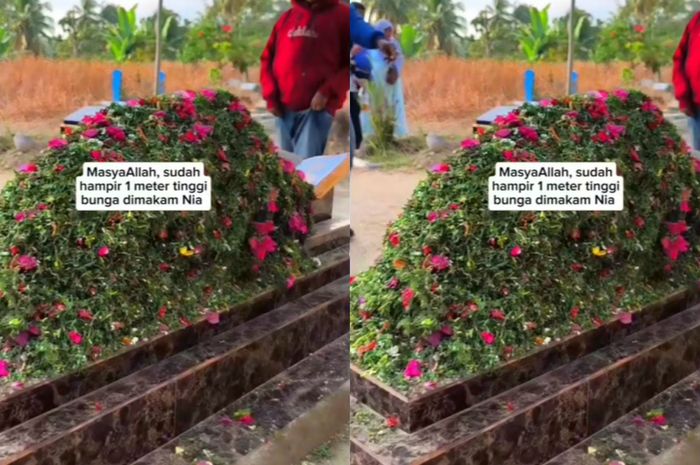 Viral, Makam Nia Penjual Gorengan Dipenuhi Tumpukan Bunga Hampir 1 ...