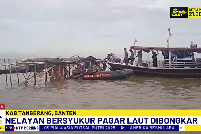Pagar Laut di Perairan Tangerang Dibongkar TNI AL, Nelayan Bersyukur Dapat Melaut Lagi - Ntvnews.id