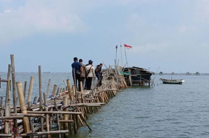 Kasus Pagar Laut Naik ke Tahap Penyidikan, Bakal Ada yang jadi Tersangka - Ntvnews.id