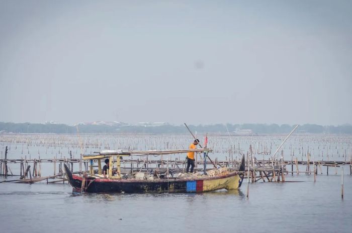 Menteri ATR/BPN Pecat 6 Pegawai Gegara Terbitkan SHGB dan SHM di Pagar Laut Tangerang - Ntvnews.id