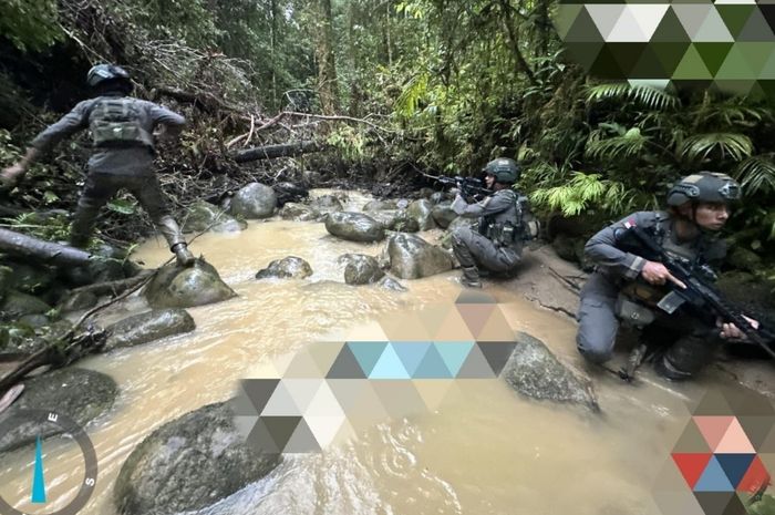 Berhasil Evakuasi Korban KKB, Tokoh Masyarakat Papua Puji Satgas Operasi Damai Cartenz - Ntvnews.id