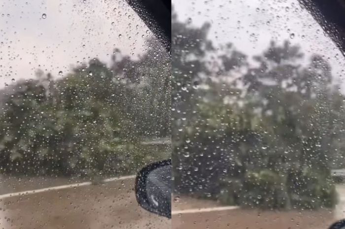 Banyak Pohon Tumbang di Sepanjang Tol Sentul-Citereup Pasca Hujan Deras ...
