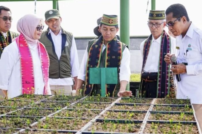 Persemaian Permanen, Strategi Menhut Wujudkan Lingkungan Asri dan ...