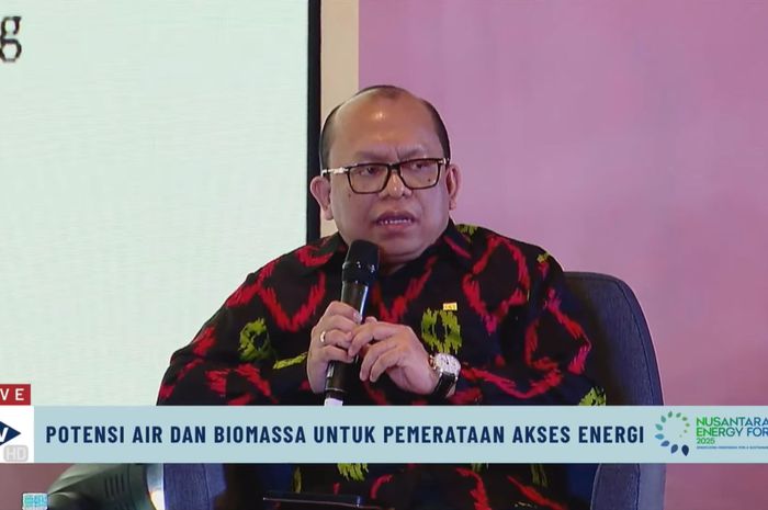 Potensi Biomassa di Indonesia Melimpah-ruah, Tembus 544 Juta Ton ...