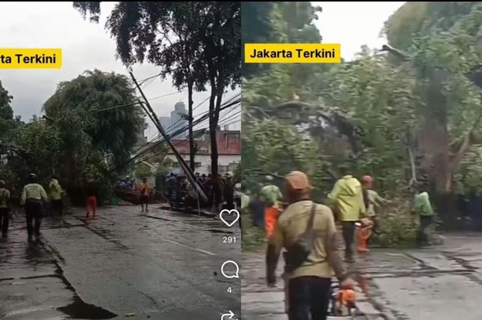 TransJakarta Koridor 4 dan Rute 4D Dialihkan Gegara Ada Pohon Tumbang ...
