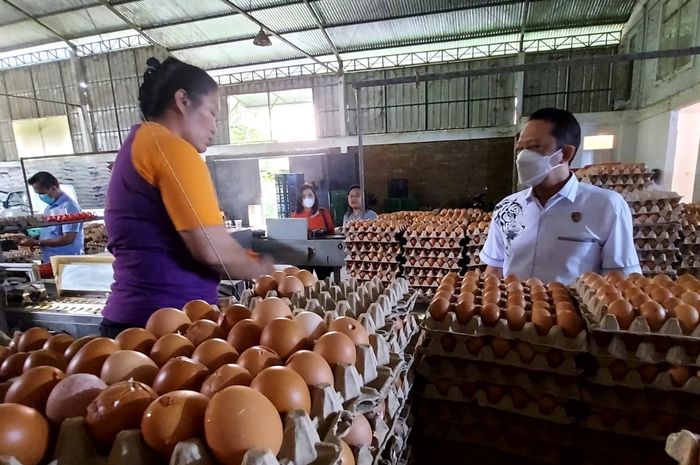 Ini Daftar Negara Penghasil Telur Terbesar di Dunia, Indonesia Masuk ...
