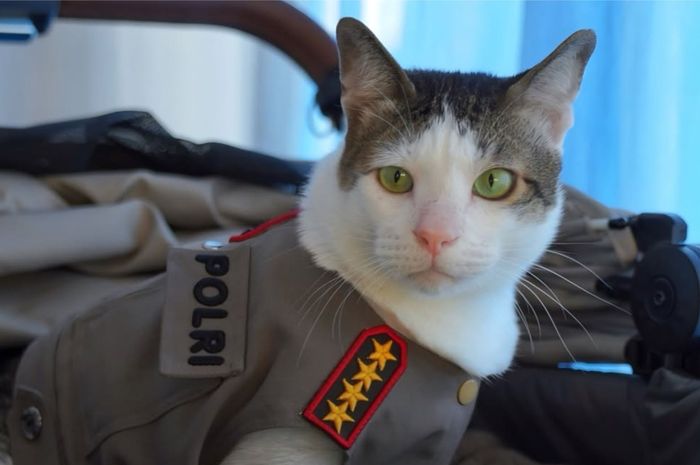 Bobby Kertanegara Jadi Tamu Spesial di Cat Lovers Social Day 2025 Polri ...