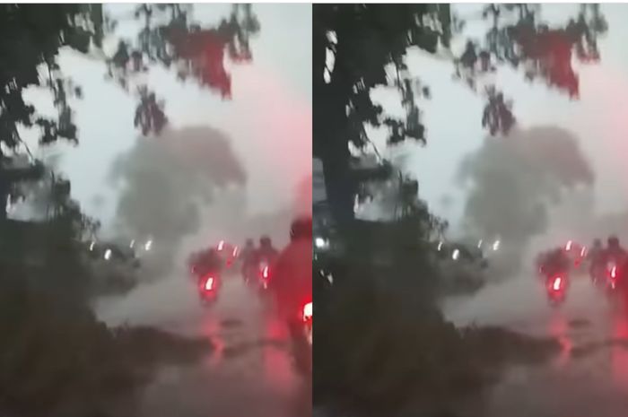 Hujan Angin Bikin Pohon Depan Woody Simpangan Depok Tumbang - Ntvnews.id