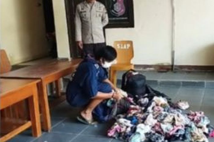 Geger Tukang Siomay Di Semarang Curi 675 Celana Dalam Wanita Terkuak