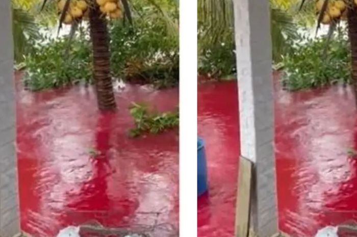 Heboh Banjir Berubah Warna Jadi Merah Buat Geger Warga - Ntvnews.id